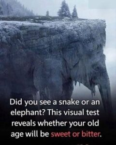 The First Animal You Notice May Reflect Interesting Traits About Your ...