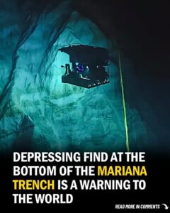 The Deep Sea in Crisis: How Human Pollution Is Affecting the Ocean’s ...
