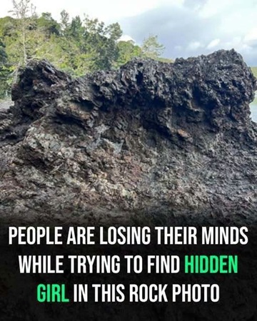 The Optical Illusion That’s Going Viral Online — Can You See What’s ...